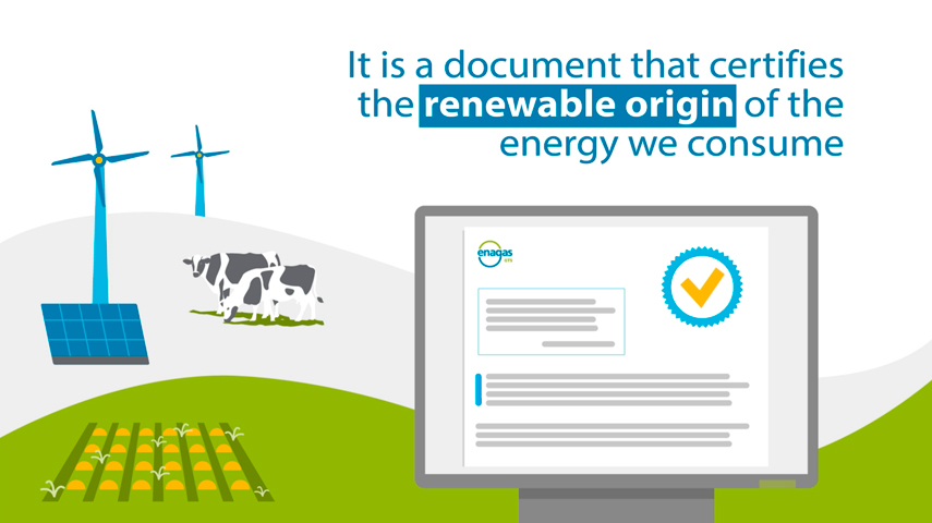 Guarantees of Origin - General Information - Enagás