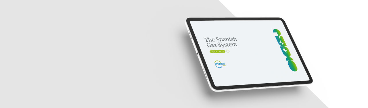 Technical Management of the System - Enagás