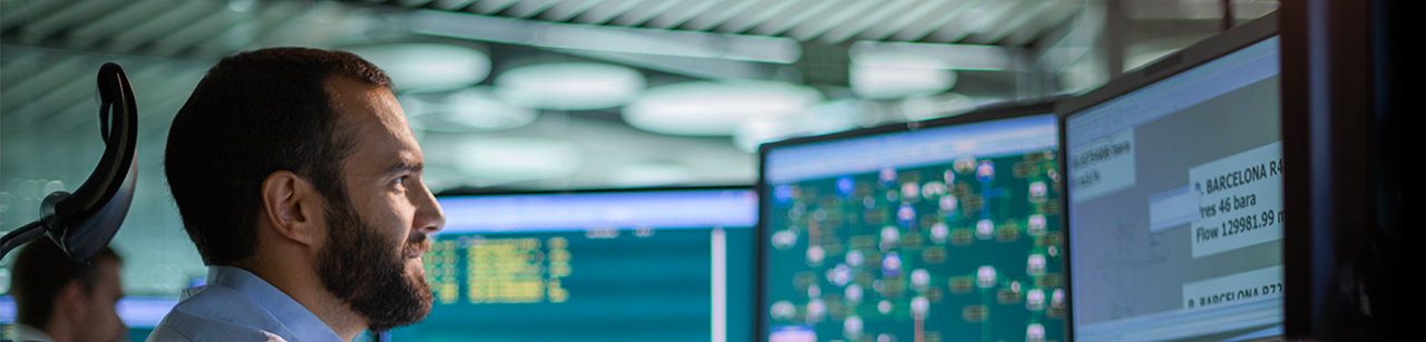 Service and Support - Enagás